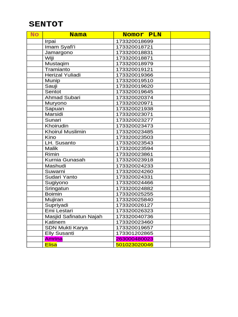 PLN Customer List and Details | PDF