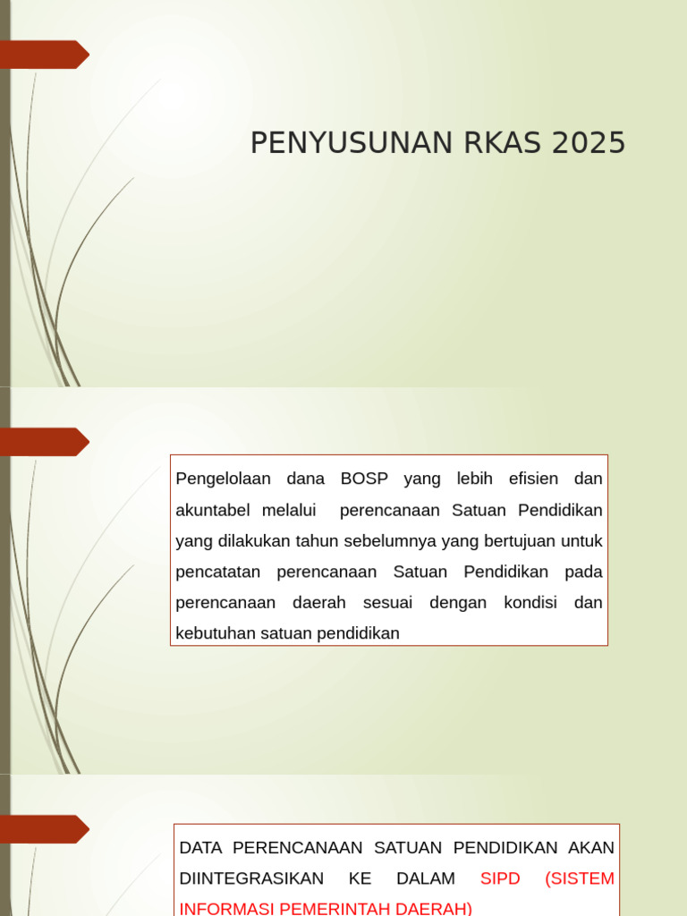 Optimalisasi RKAS 2025: Efisiensi dan Akuntabilitas | PDF | Sains & Matematika