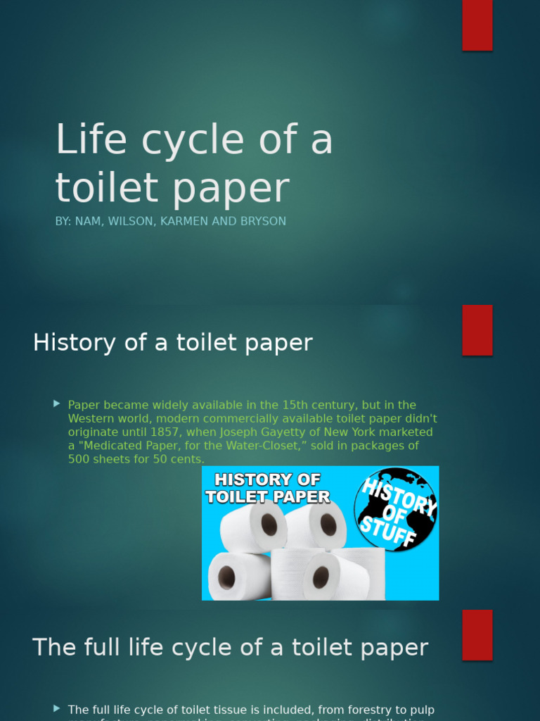 Life Cycle of A Toilet Paper | PDF | Home & Garden | Art