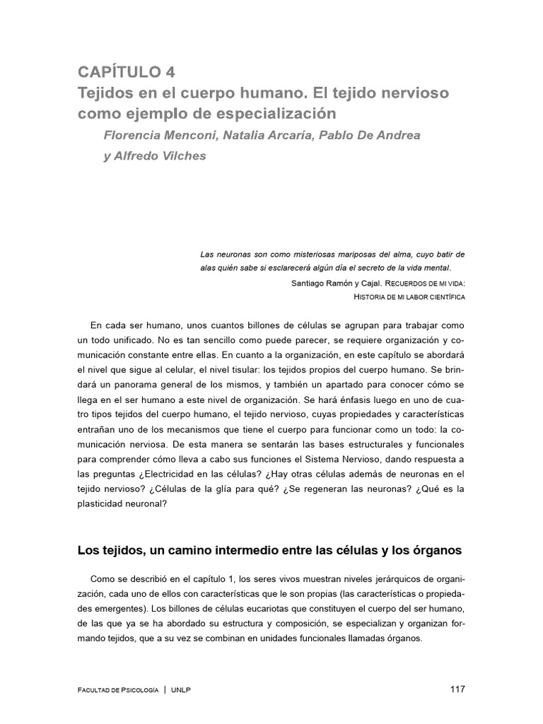 Aspectos Biológicos de La Complejidad Humana (Cap 4) | PDF | Neurona | Axon