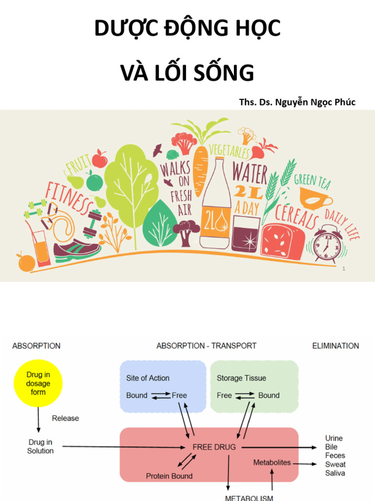 DĐH - Thai Ky, Beo Phi, Loi Song | PDF