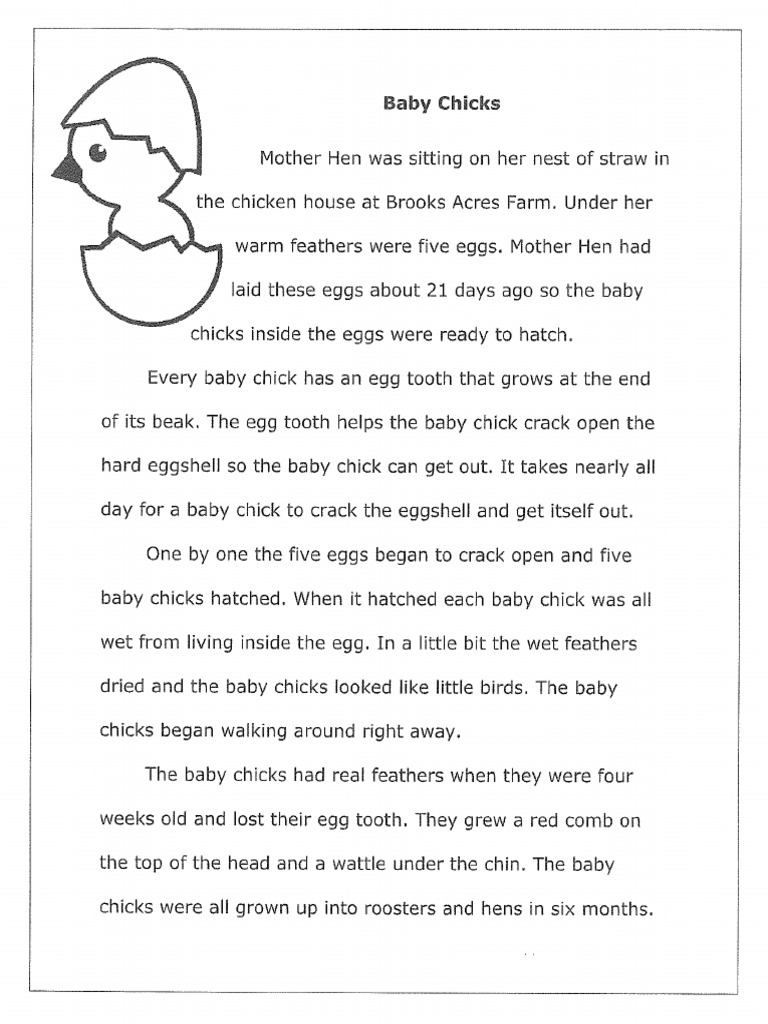 Baby Chicks | PDF