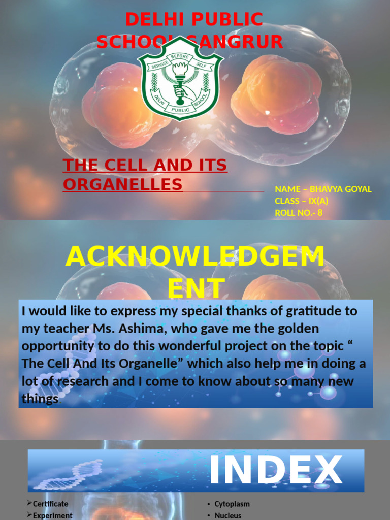 Biology Ppt 1 Pdf Cell Biology Endoplasmic Reticulum
