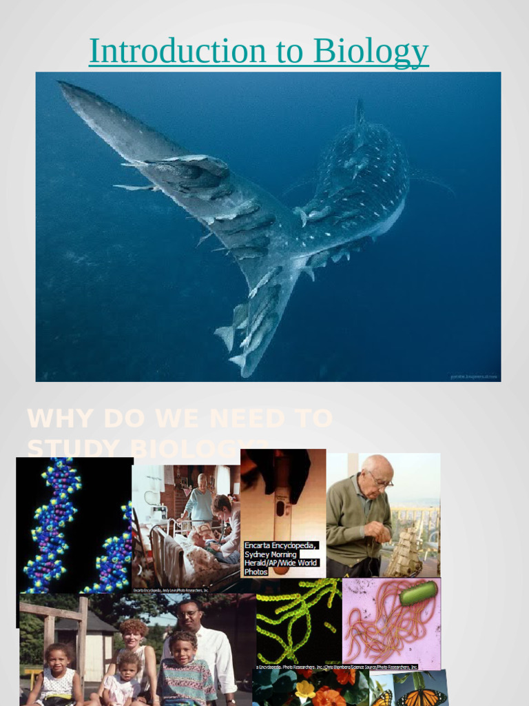 Introduction To Biology and Scientific Method | PDF | Life | Science