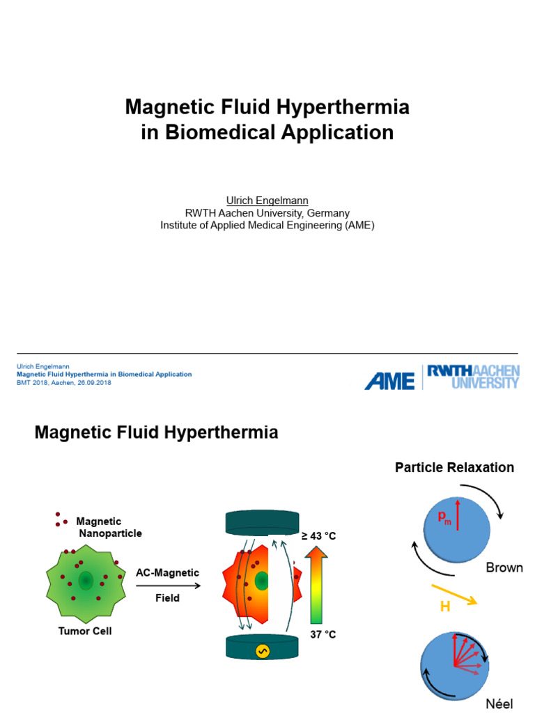 BMT2018 FS Engelmann | PDF | Materials Science | Physical Sciences
