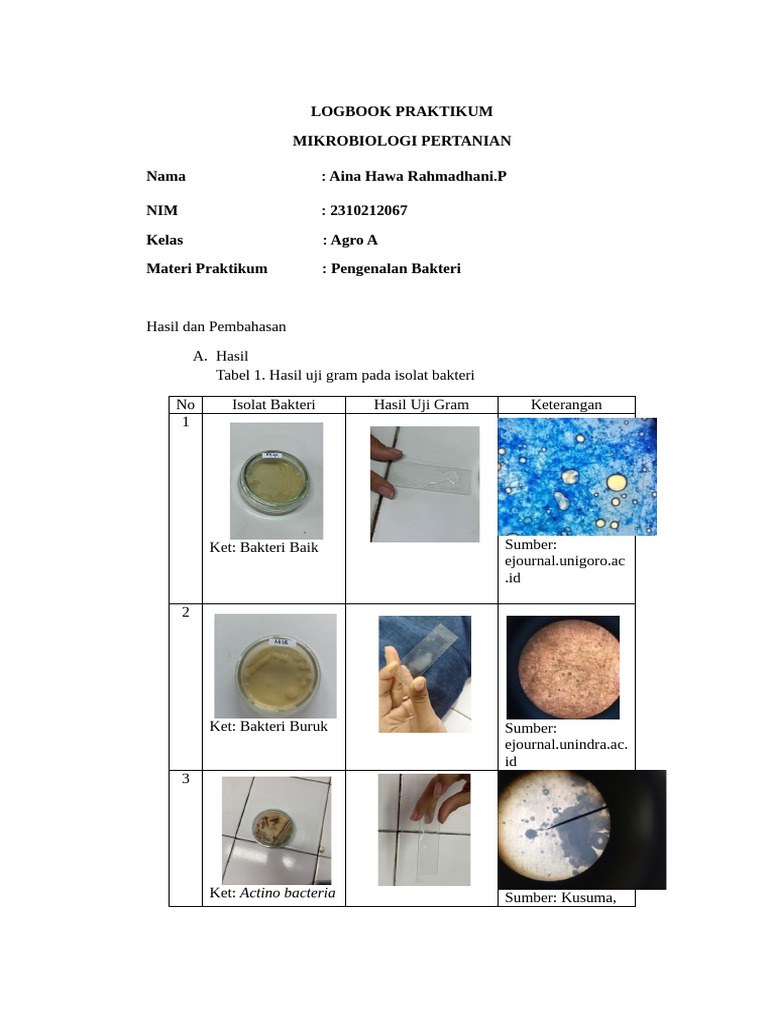 Logbook Mikrobiologi 2 | PDF | Griya & Taman | Sains & Matematika