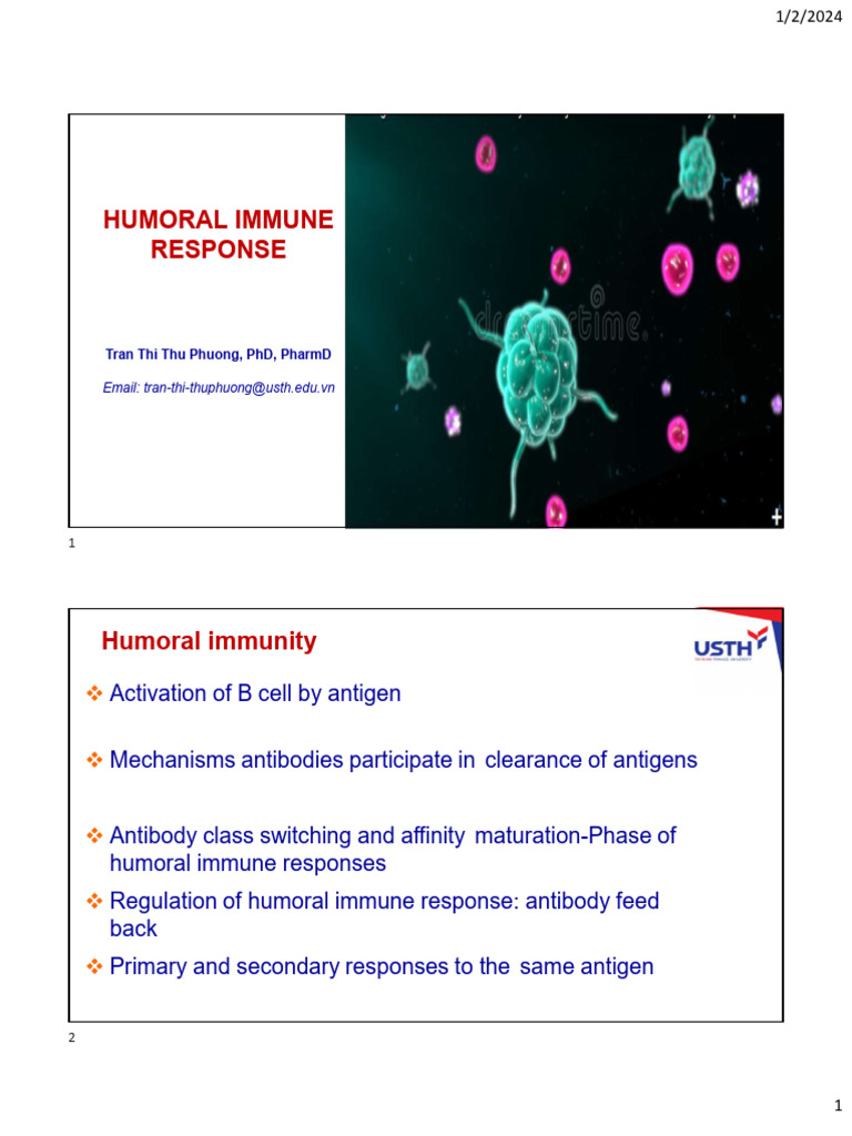 Humoral Immune Response | PDF | B Cell | Antibody