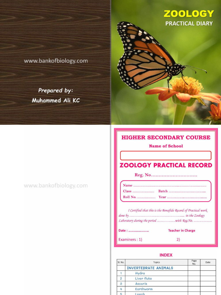 Zoology Practical Record Book - 2024-25 | PDF