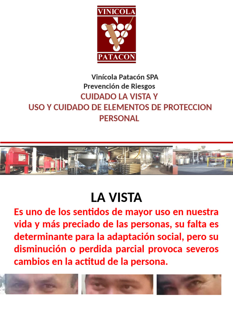 Proteccion Visual y Facial | PDF | Hogar, jardinería y bricolaje ...