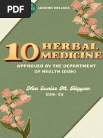 An Endemic Plant: Kalingag: PHBIO 1101 | PDF