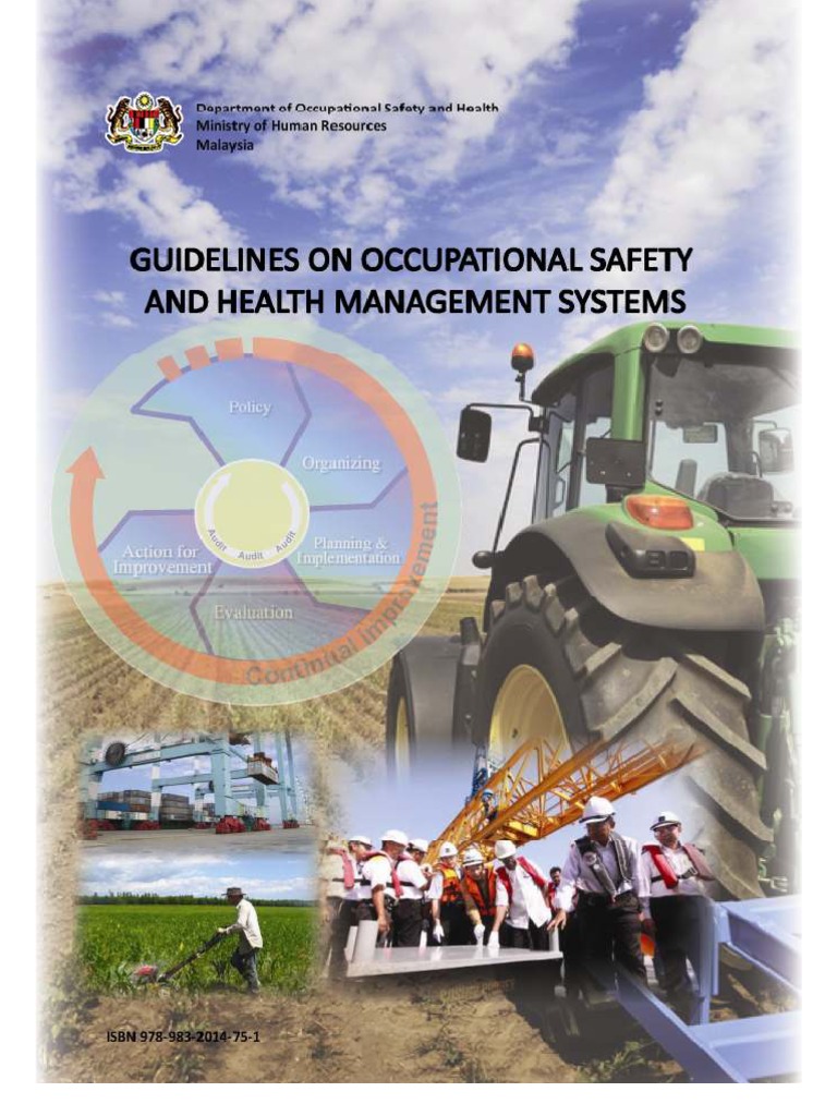 OSH Guidelines for Workplace Safety | PDF | Occupational Safety And ...