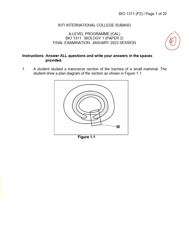 My Left Nut | PDF | Cell (Biology) | Mitosis