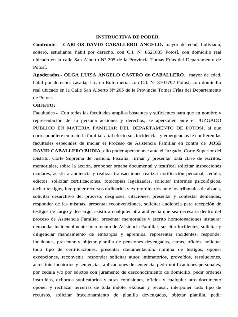 Instructiva de Poder Olga Angelo | PDF | Apelación | Separación de poderes