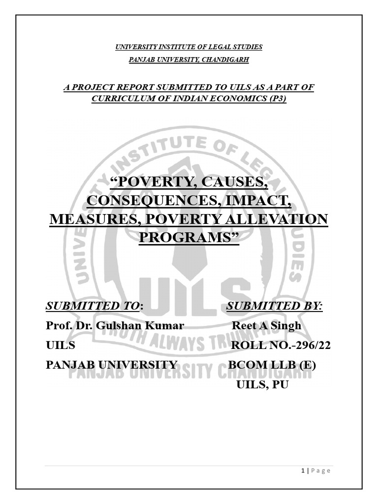 Poverty: Causes and Alleviation Strategies | PDF | Fiscal Policy ...