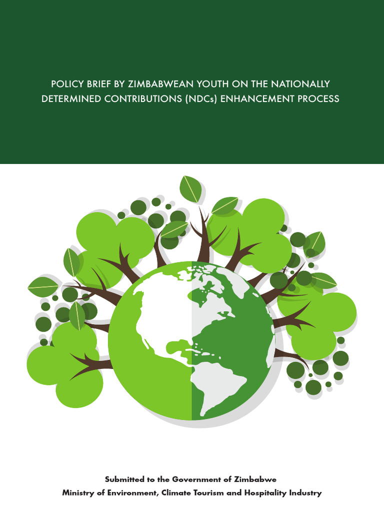 Zimbabwe Youth NDC Enhancement Brief | PDF | Climate Change Mitigation ...