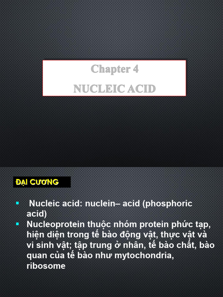 Nucleic Acid | PDF