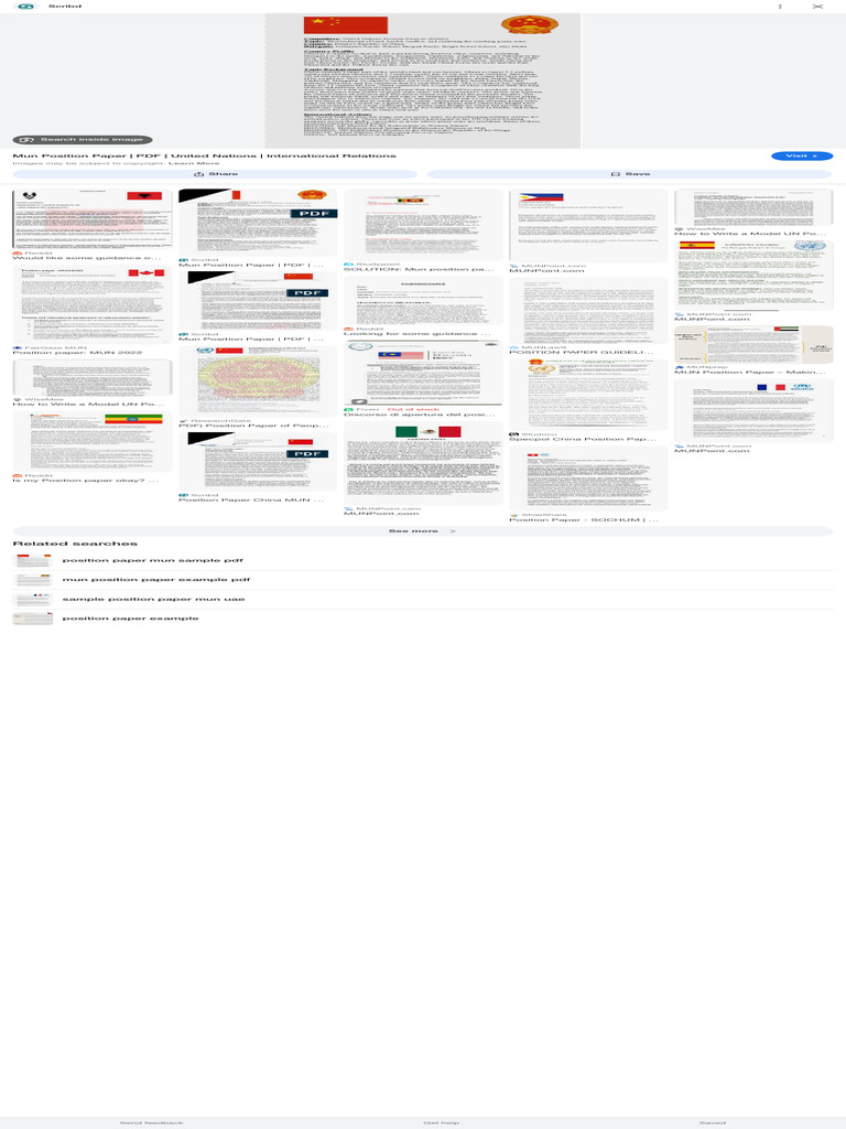 Position Paper Mun PDF - Google Search | PDF