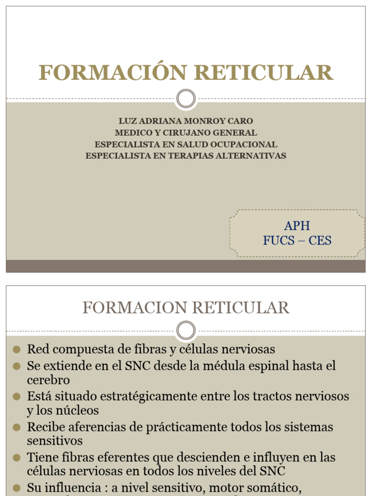 Formación Reticular Pdf Cerebro Hipotálamo