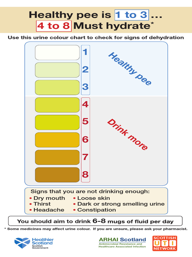 Urine Color Chart for Hydration Tips | PDF