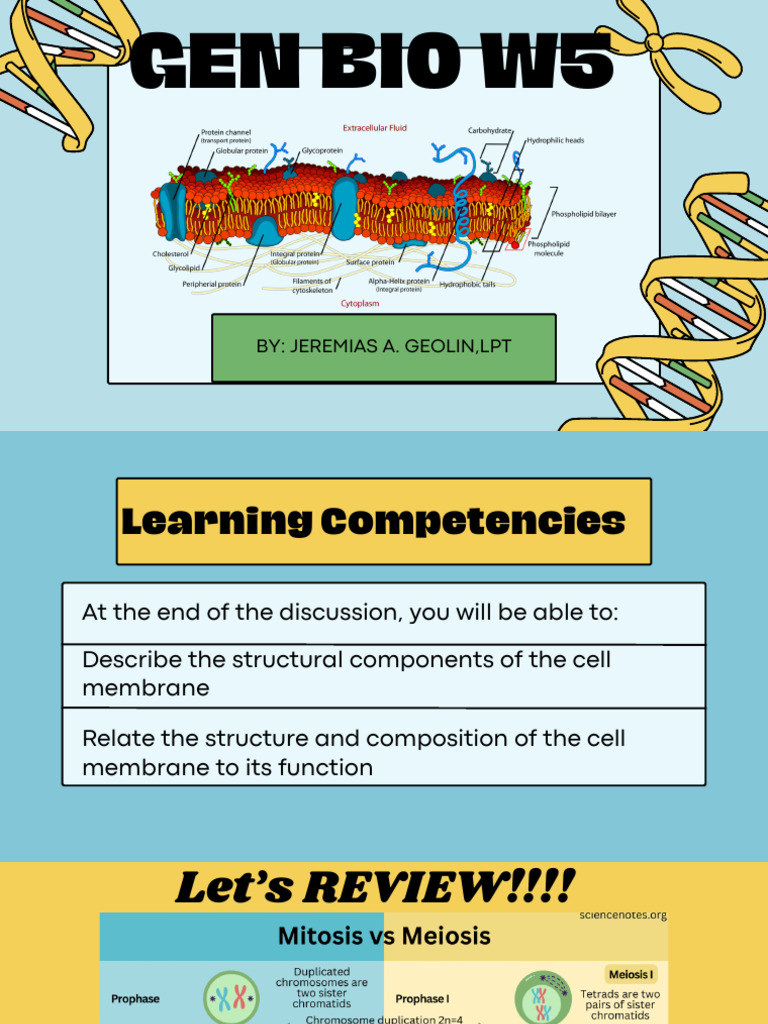 Cell Membrane Pdf Cell Membrane Biomolecules