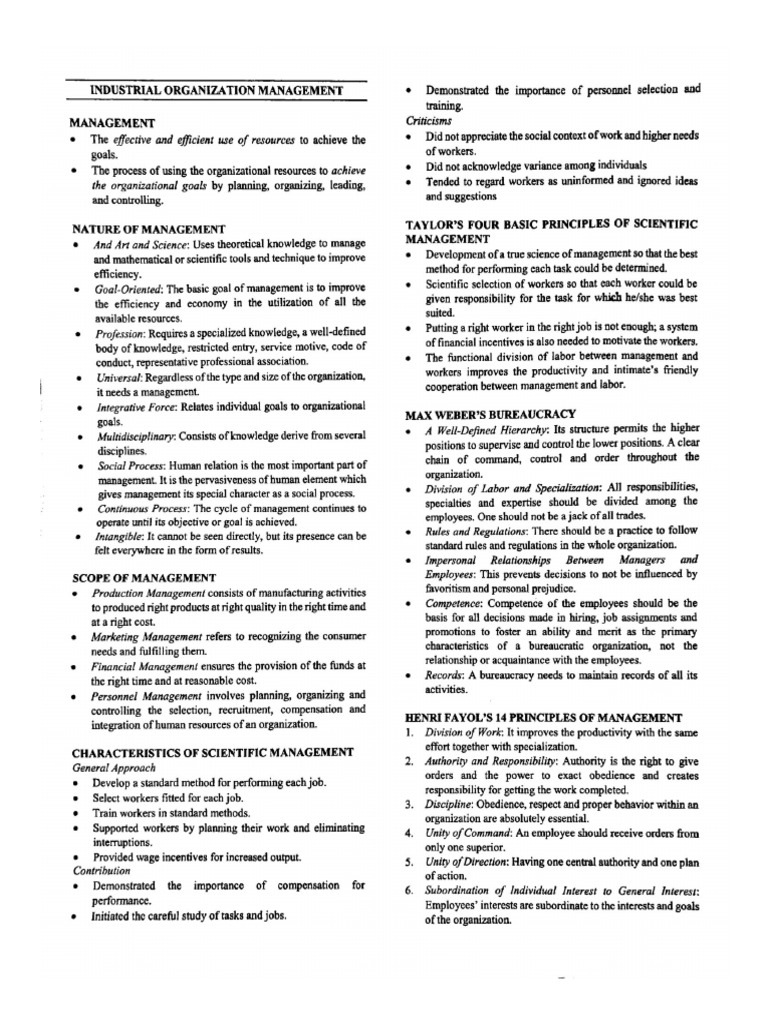 Industrial Organization Management | PDF