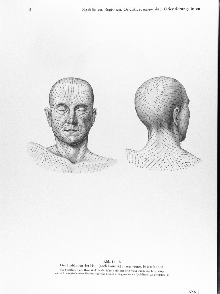 Eduard Pernkopf - Atlas of Topographical and Applied Human Anatomy, Vol ...