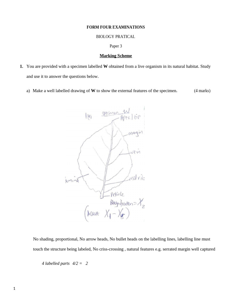 Form 4 Biology Paper 3 Marking Scheme | PDF | Leaf | Stoma