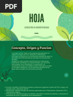 Estructura y Tipos de Limbo en Hojas | PDF | Hoja | Botánica