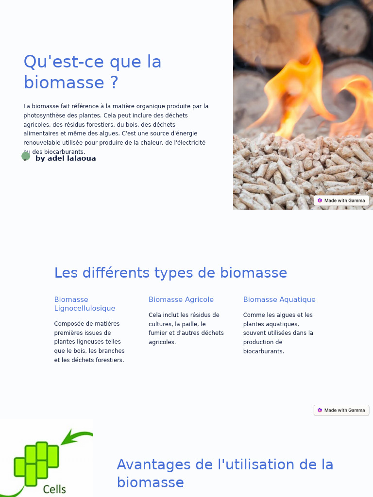 Comprendre la biomasse et ses usages | PDF | Biomasse (énergie ...