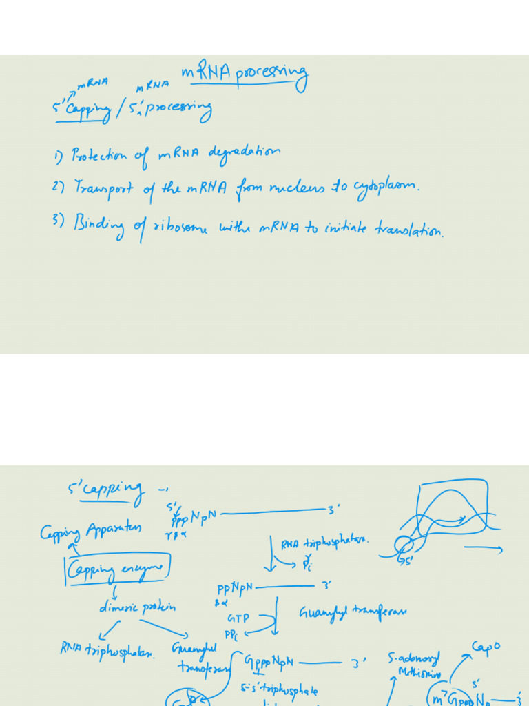 September Mol Bio | PDF