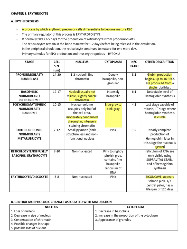HEMA 1 Chapter 3 | PDF | Red Blood Cell | Hemoglobin
