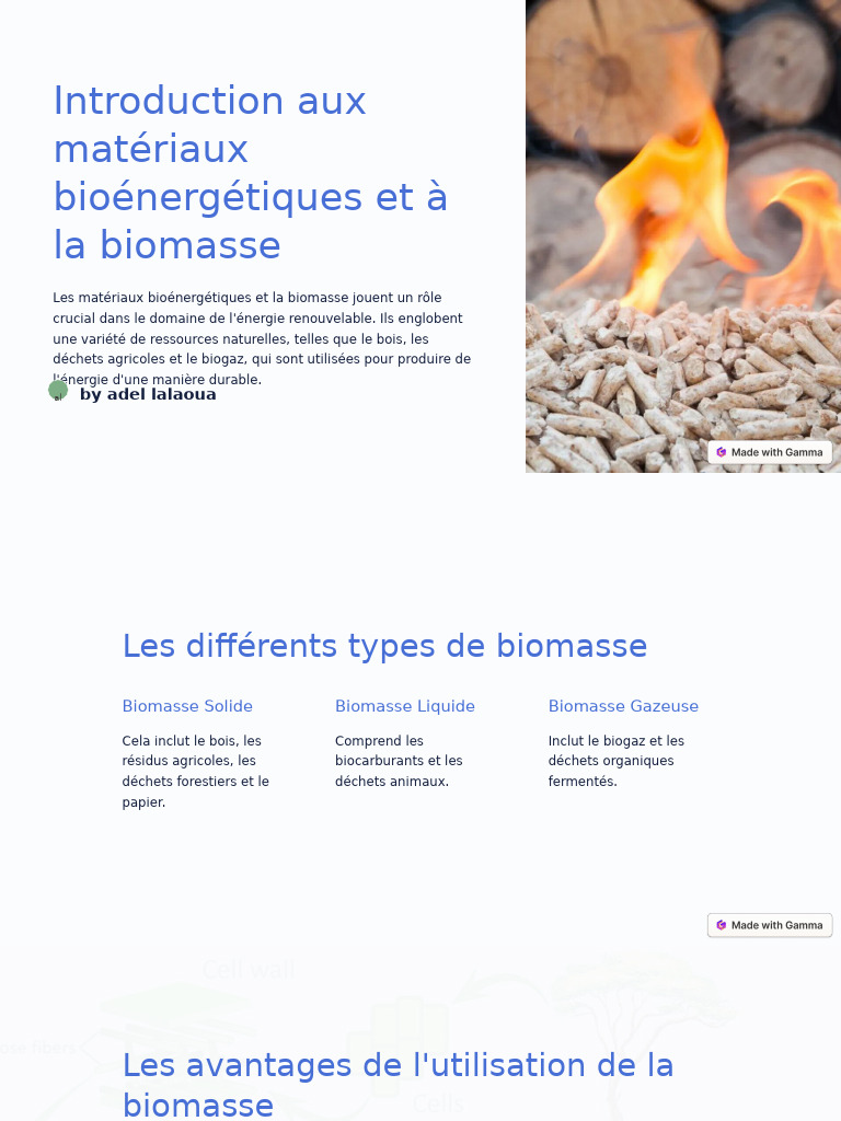 Introduction à la biomasse et bioénergie | PDF | Biomasse (énergie ...