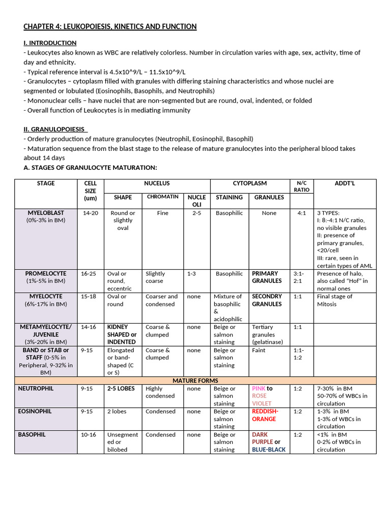 HEMA 1 Chapter 4 | PDF | Granulocyte | White Blood Cell