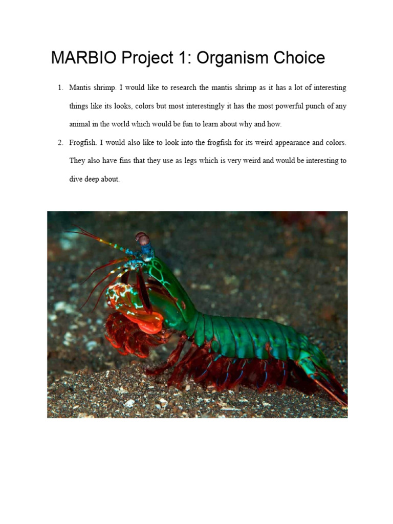 MARBIO Project 1 - Organism Choice | PDF