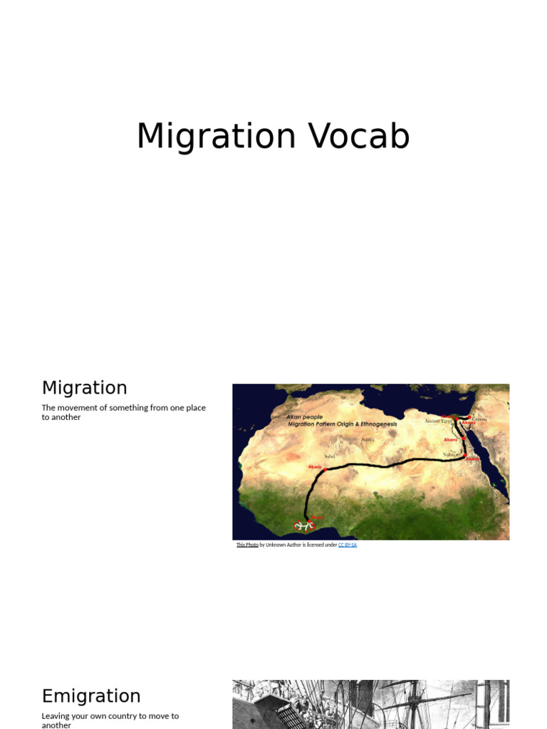 Migration Vocab | PDF | Politics | Social Science