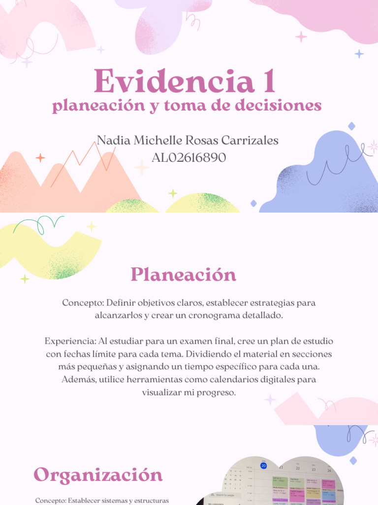 EV1 planeacion y toma de decisiones .pdf | PDF