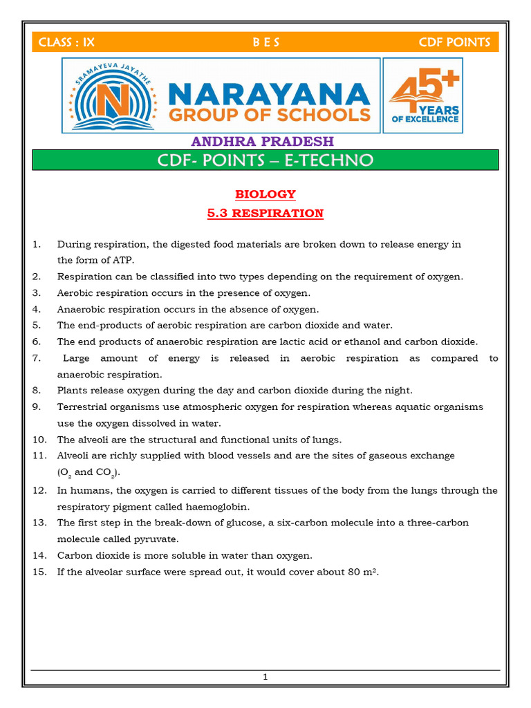 AP Ssc-Ix E-Tec Bes CDF - Points 13.03 | PDF | Cellular Respiration | Oxygen