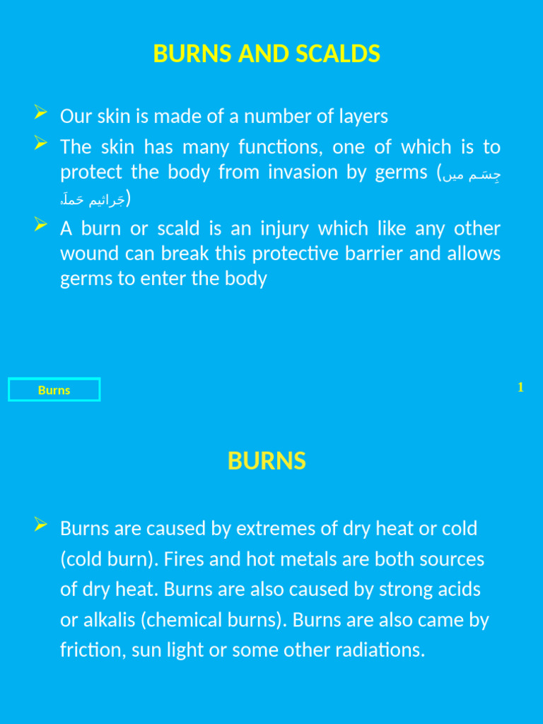 Burn Scald | PDF | Skin | Burn