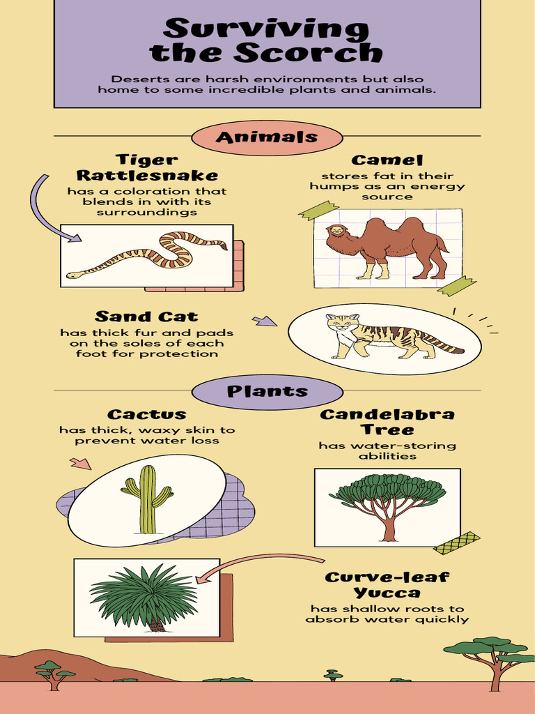 Desert Survival Infographic | PDF