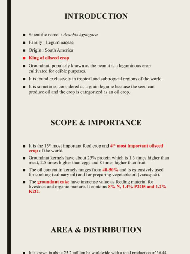 Cultivation of Groundnut | PDF