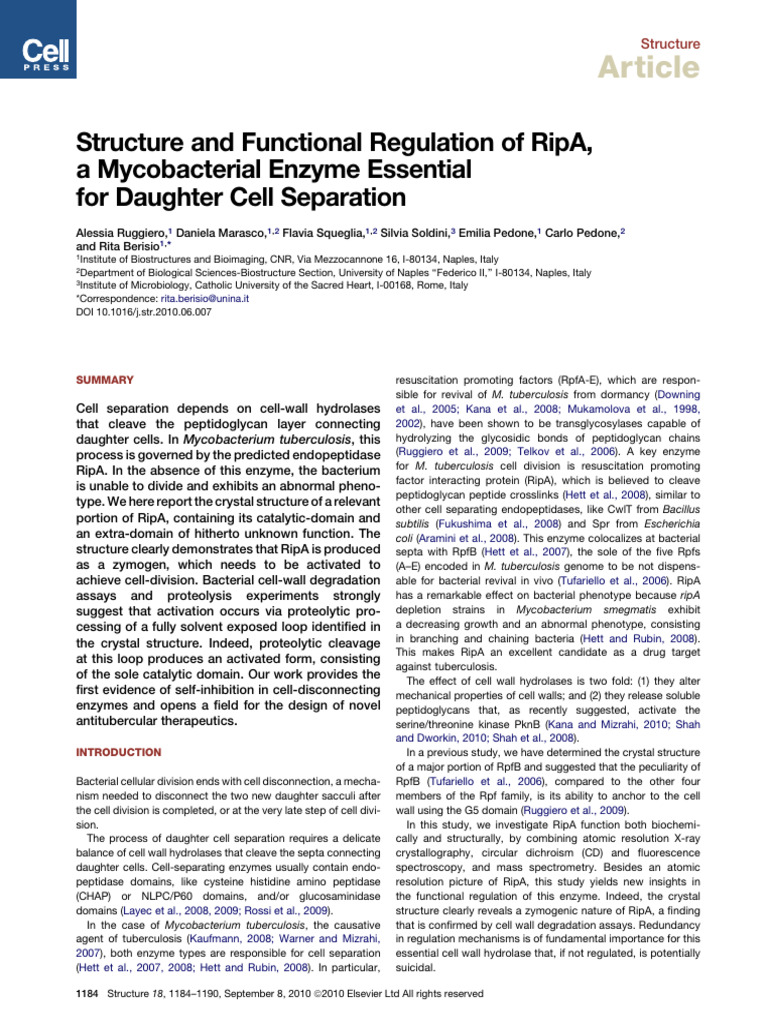 Structure and Functional Regulation of RipA, A Mycobacterisl Enzyme Essential For Daughter ...
