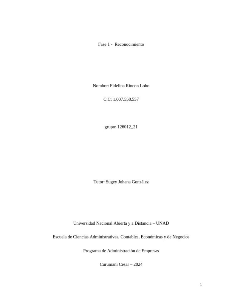 Faase 1 - Reconocimiento - 21 | PDF | Marketing | Planificación