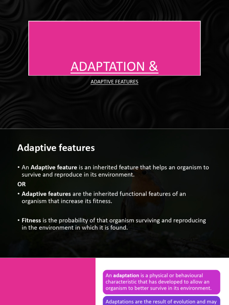 Understanding Adaptive Features in Organisms | PDF | Stoma | Leaf