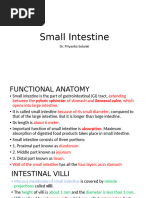 Succus Entericus New | PDF | Digestive System | Gastroenterology