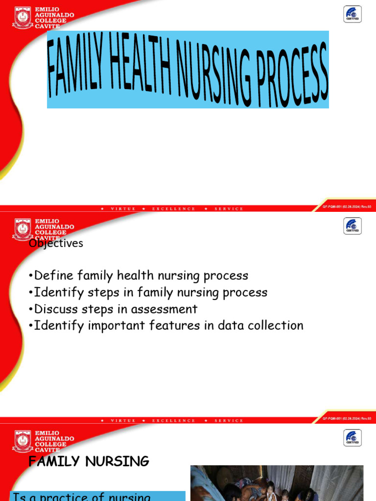 Family Health Nursing Process Overview | PDF | Nursing | Medical Diagnosis