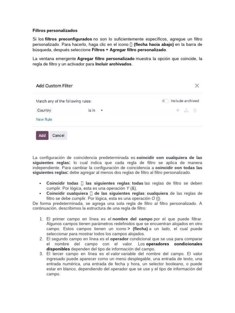 Filtros Filtros Personalizados | PDF | Informática | Software