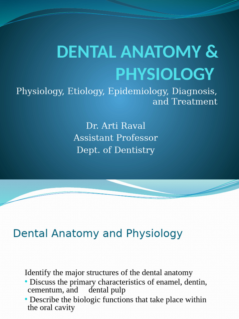 DR SAJID UMARJI (Dental Anatomy and Physiology) | PDF | Human Tooth ...