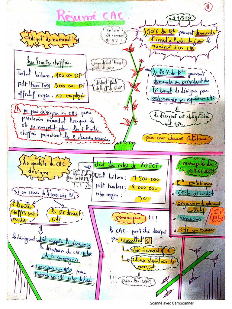 Résumé CAC | PDF