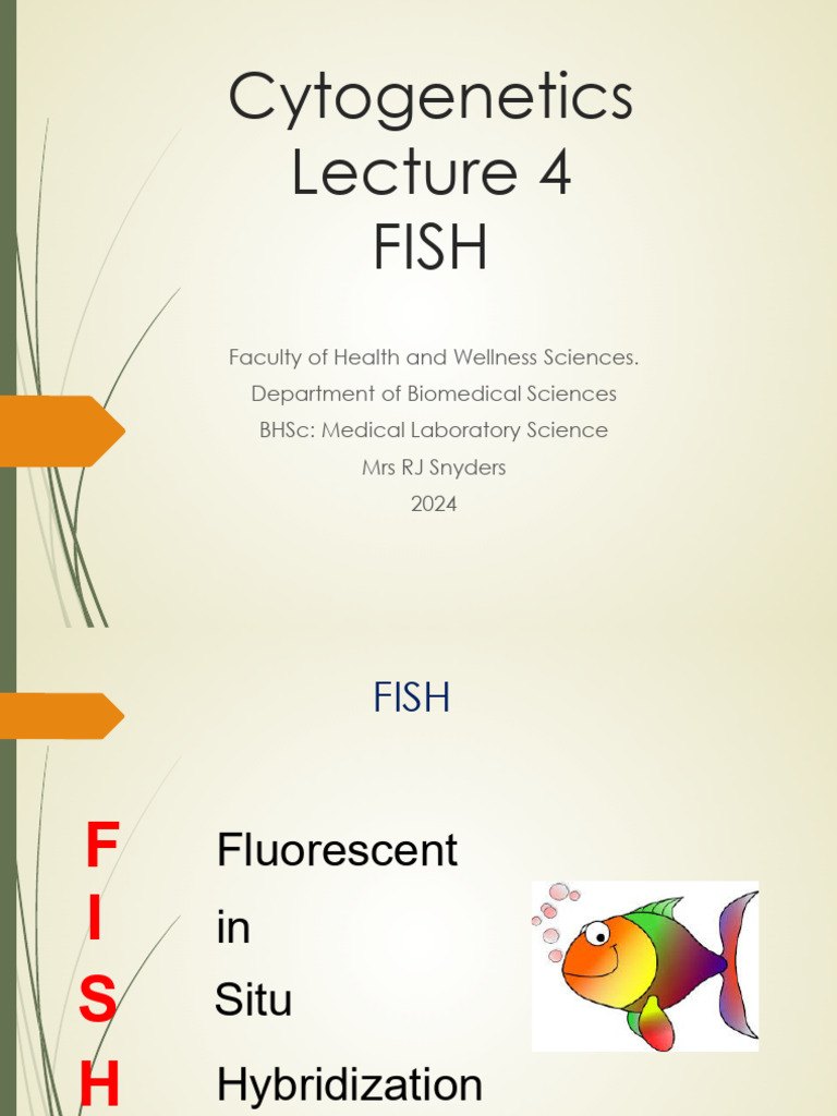 Lecture 4 - 2024 - FISHv2 Cytogenetics | PDF | Fluorescence In Situ ...