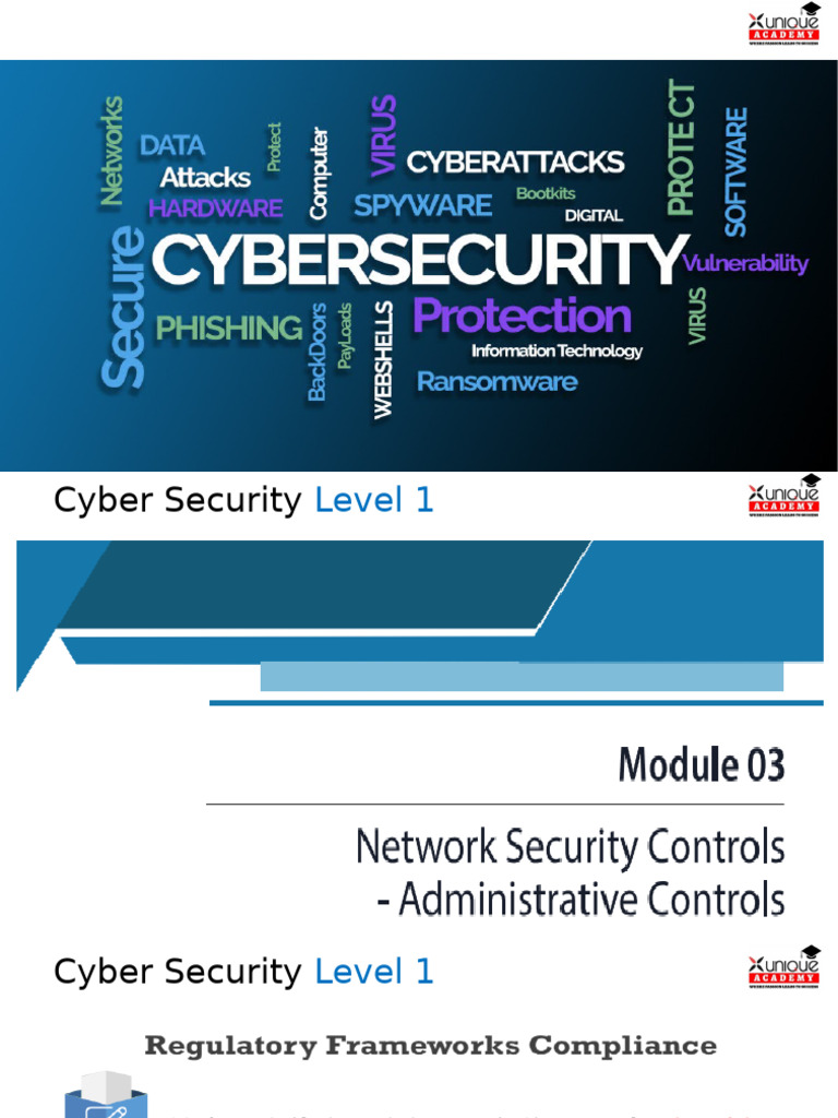 Cyber Security Level 1 Overview | PDF